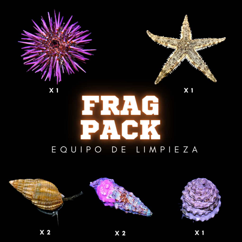 frag pack equipo de limpieza - Coral Frag